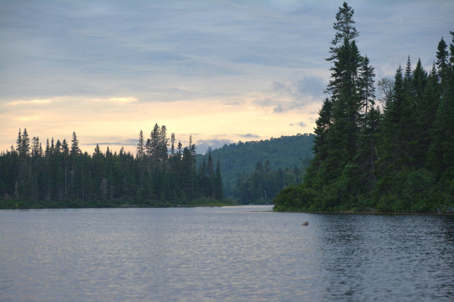 Crée_Ation Nature DC – Crée_Ation Nature DC